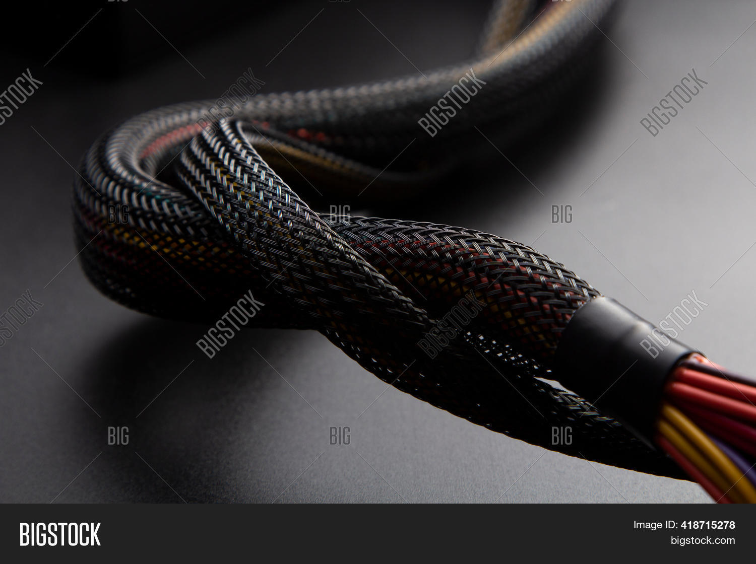 Cable Snake Skin. Image & Photo (Free Trial) | Bigstock