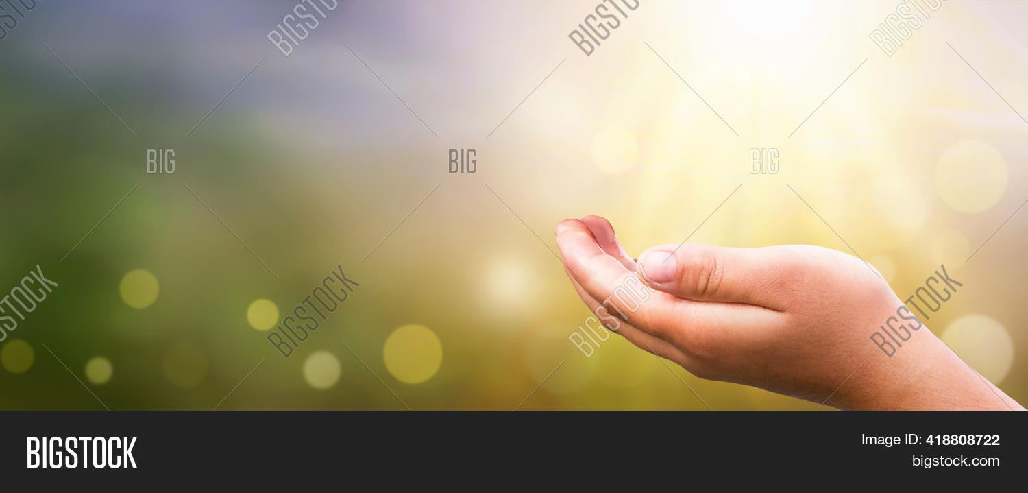 Human Open Empty Hand Image & Photo (Free Trial) | Bigstock