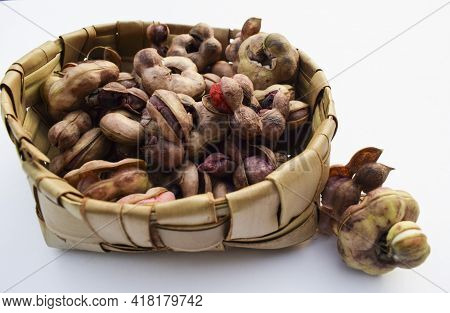 Kamachili Images, Illustrations & Vectors (Free) - Bigstock