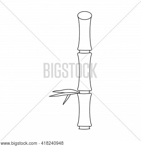 Bamboo Vector Outline Vector & Photo (Free Trial) | Bigstock