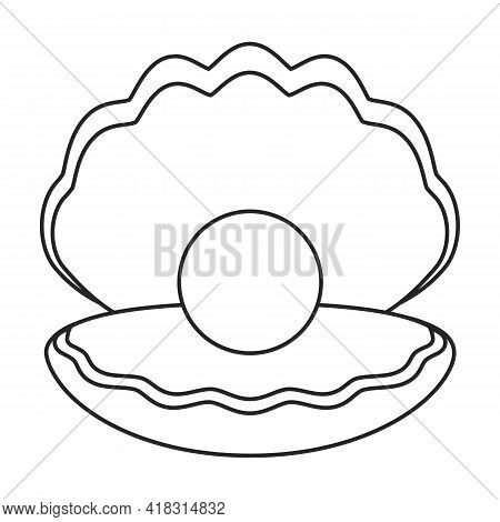 Pearl Shell Vector Vector & Photo (Free Trial) | Bigstock
