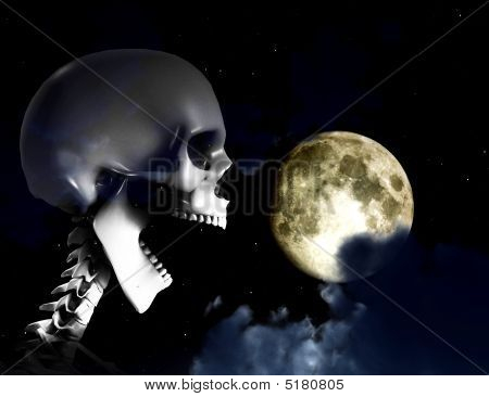 Shouting Skeleton Image & Photo (Free Trial) | Bigstock