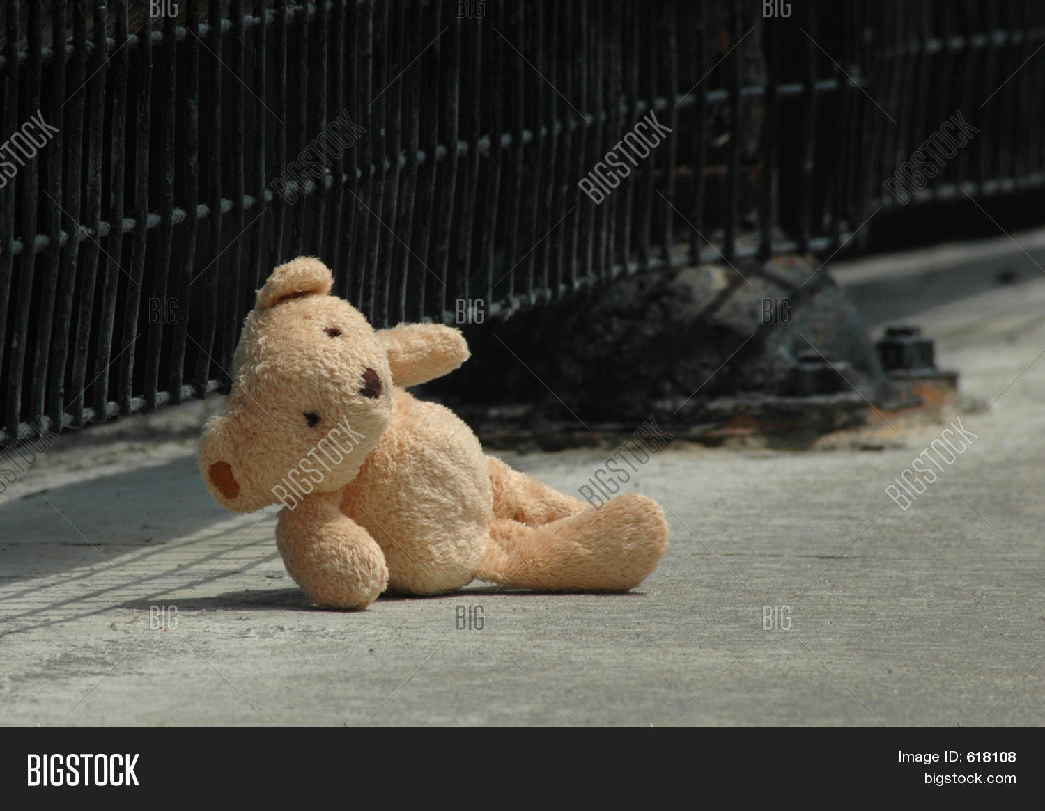 Lost Bear Image & Photo (Free Trial) | Bigstock