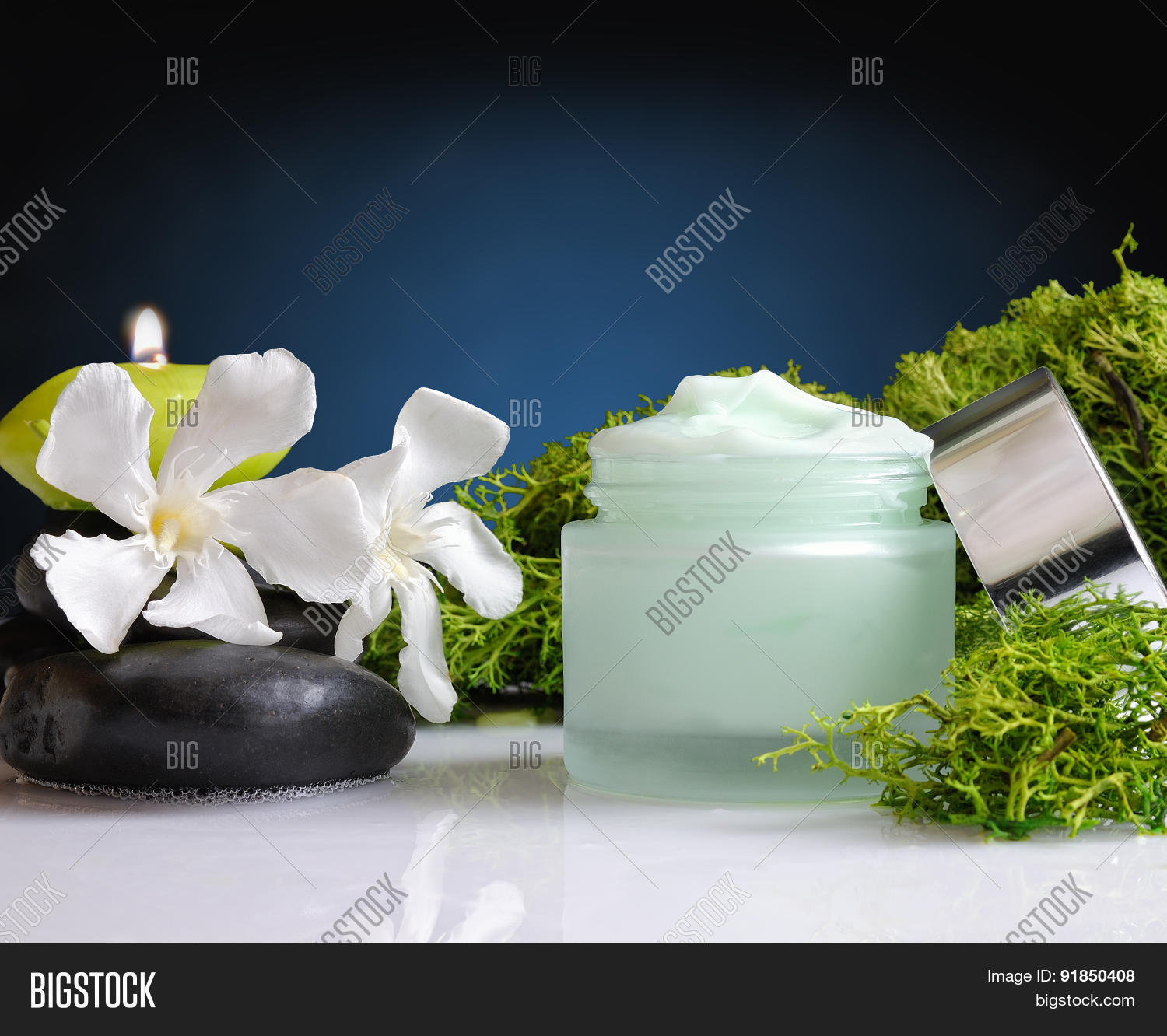 Cream Jar Algae Front Image & Photo (Free Trial) | Bigstock