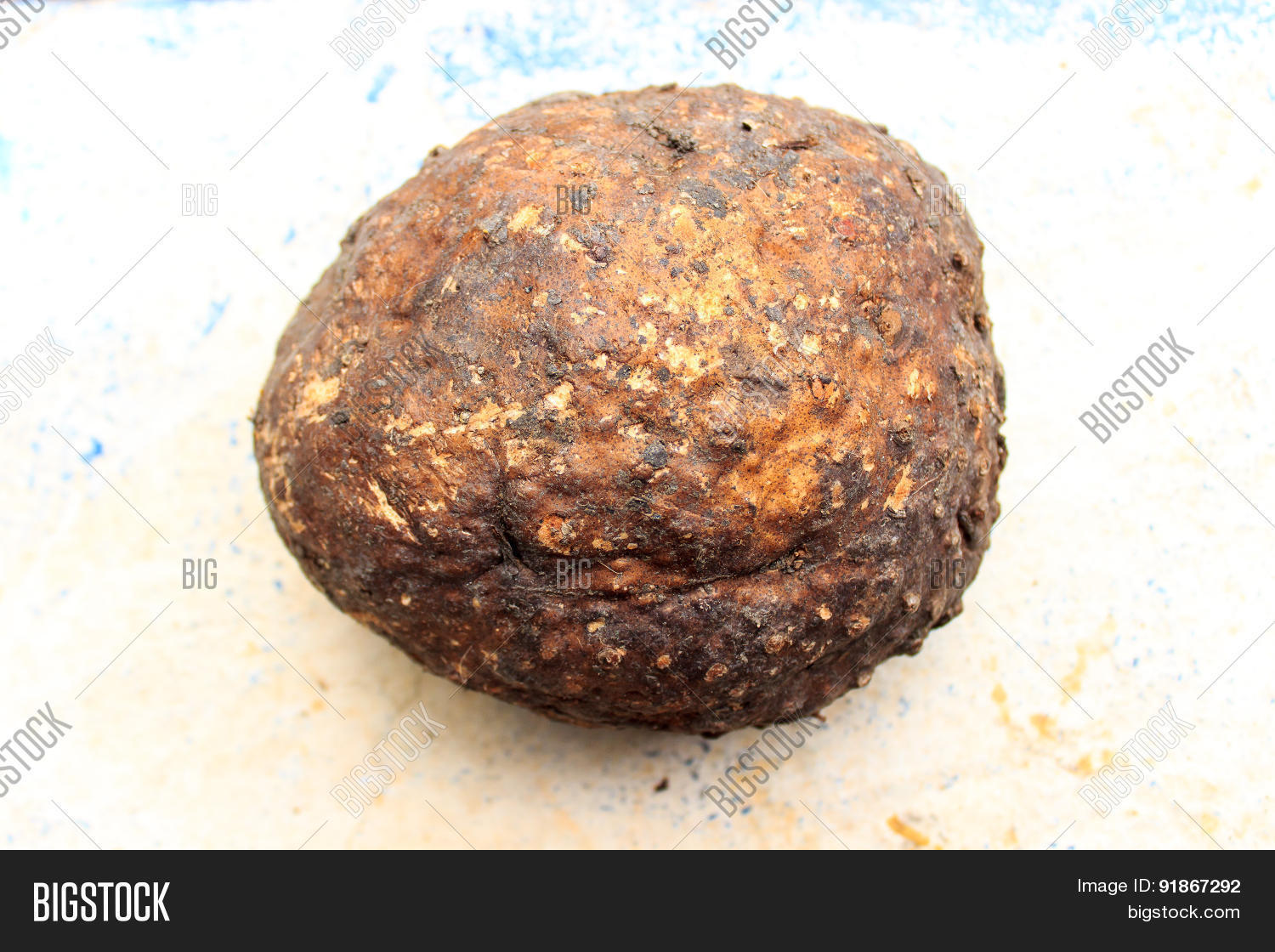 Elephant Foot Yam Image & Photo (Free Trial) | Bigstock