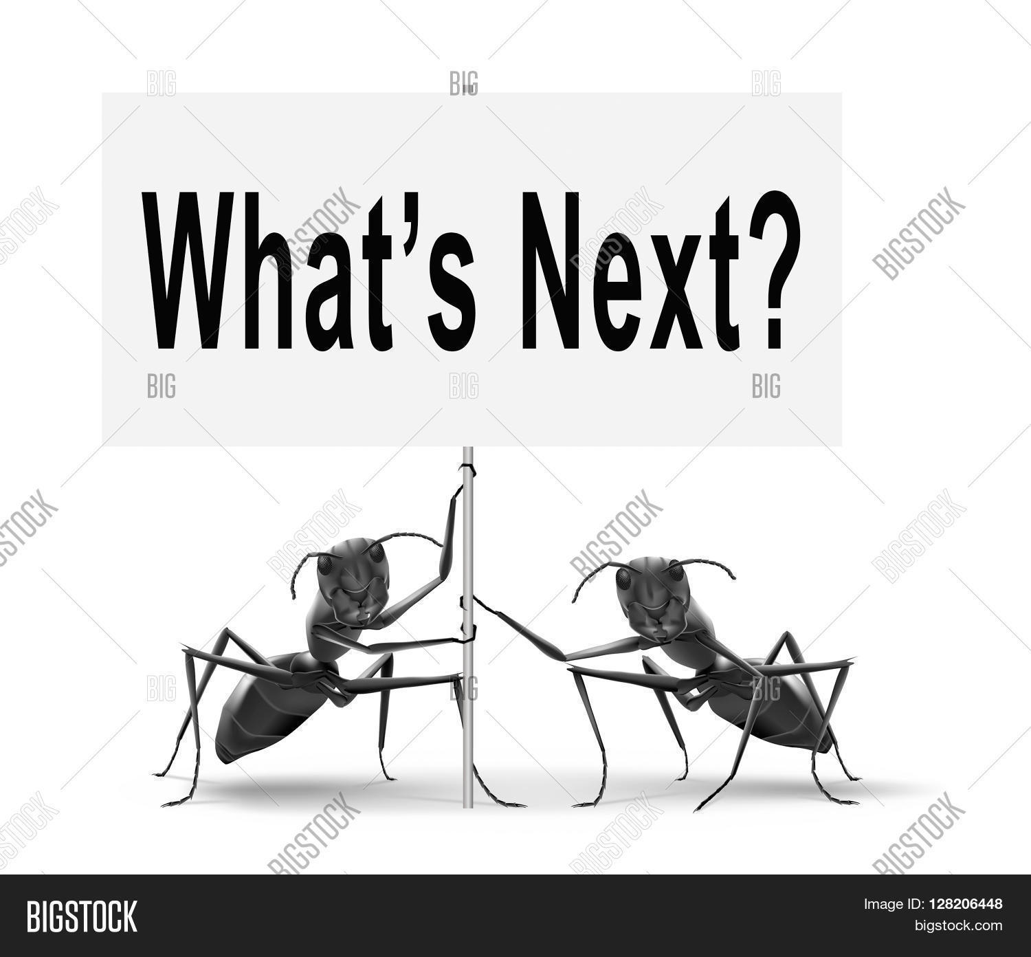 What Next Step Move Image & Photo (Free Trial) | Bigstock