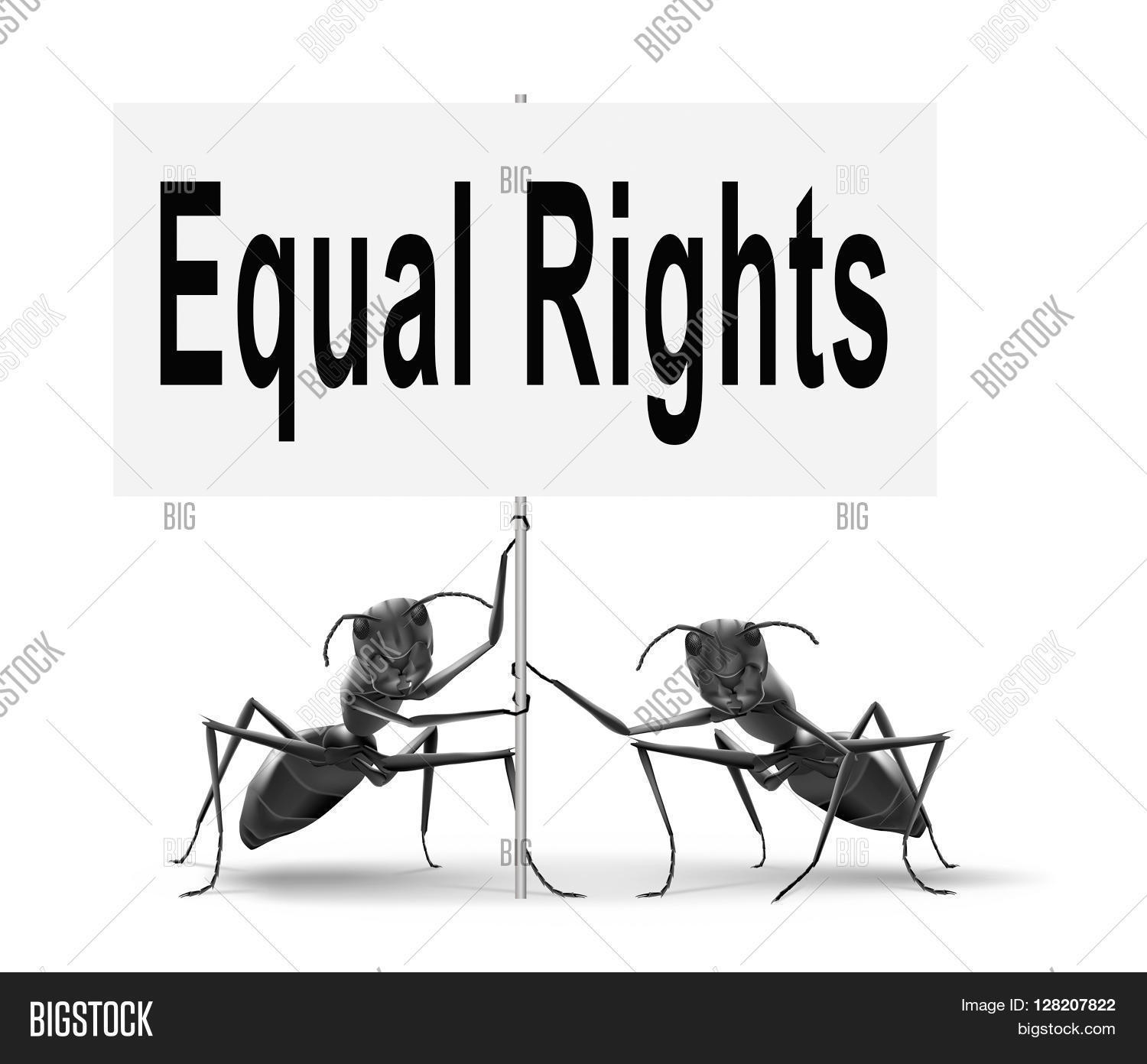 Equal Rights No Image & Photo (Free Trial) | Bigstock