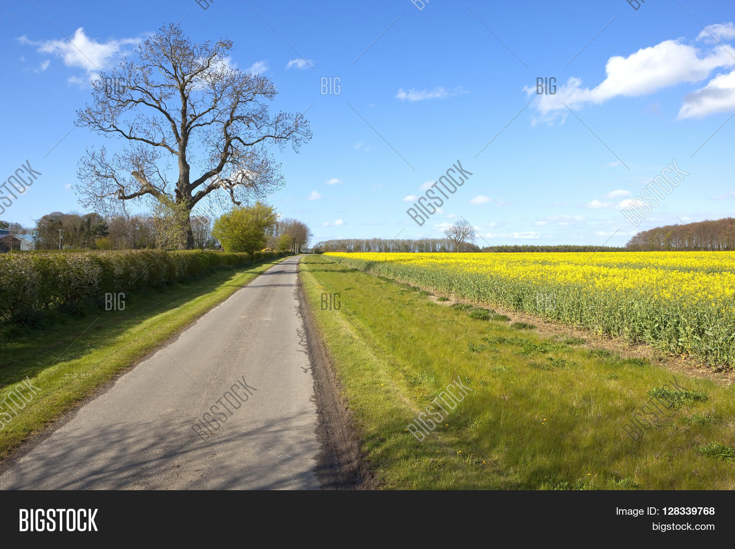 Small Rural Farm Road Image & Photo (Free Trial) | Bigstock