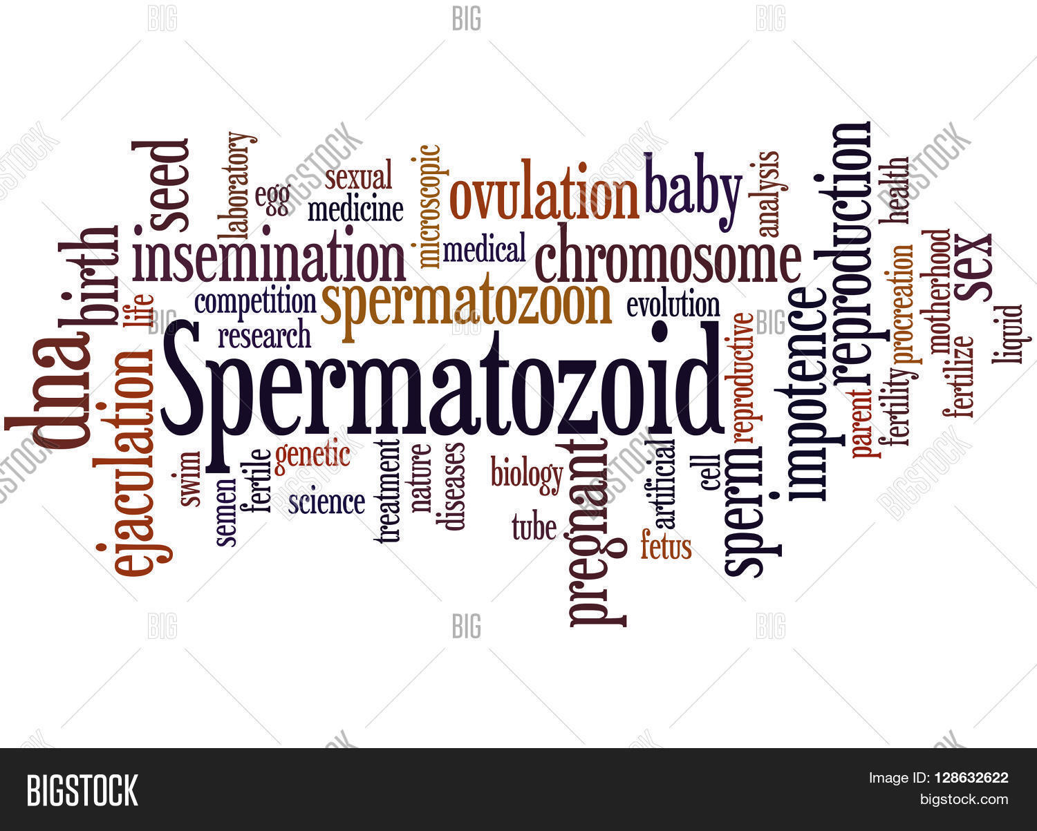 Spermatozoid, Word Image & Photo (Free Trial) | Bigstock