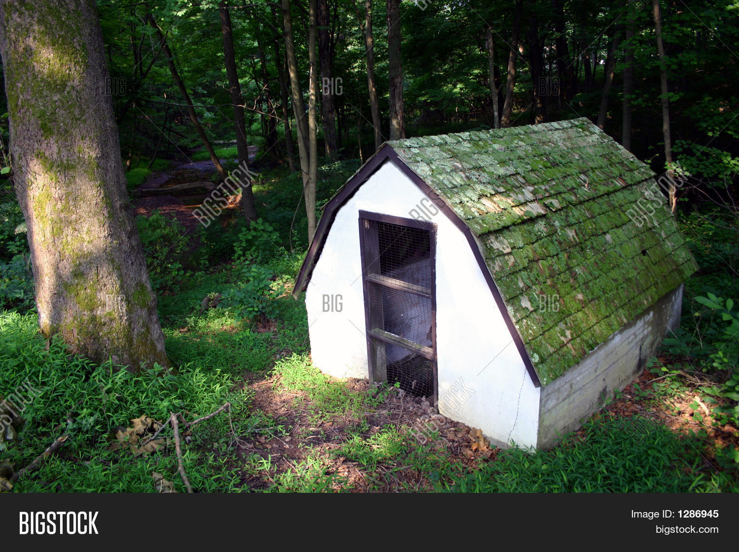 Colonial Springhouse Image & Photo (Free Trial) | Bigstock