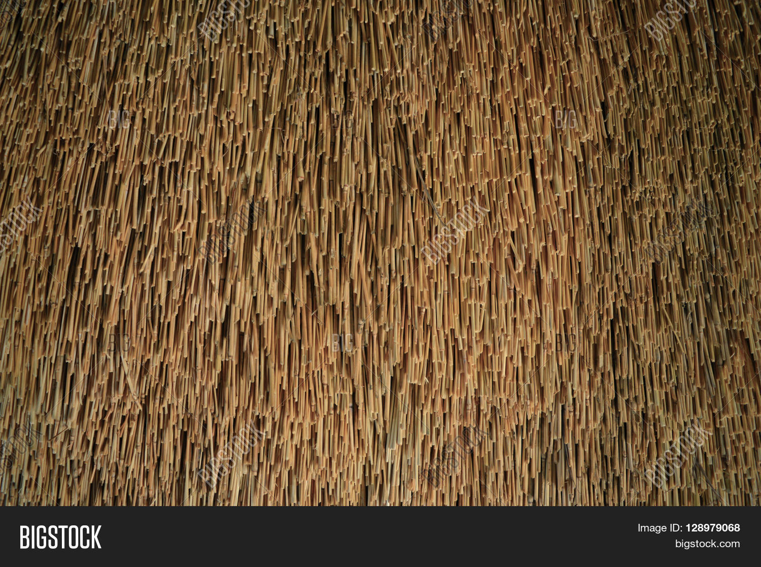 Straw Thatch Hut Image & Photo (Free Trial) | Bigstock