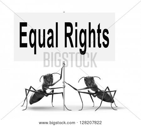 Equal Rights No Image & Photo (Free Trial) | Bigstock