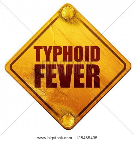 Typhoid Fever, 3D Image & Photo (Free Trial) | Bigstock
