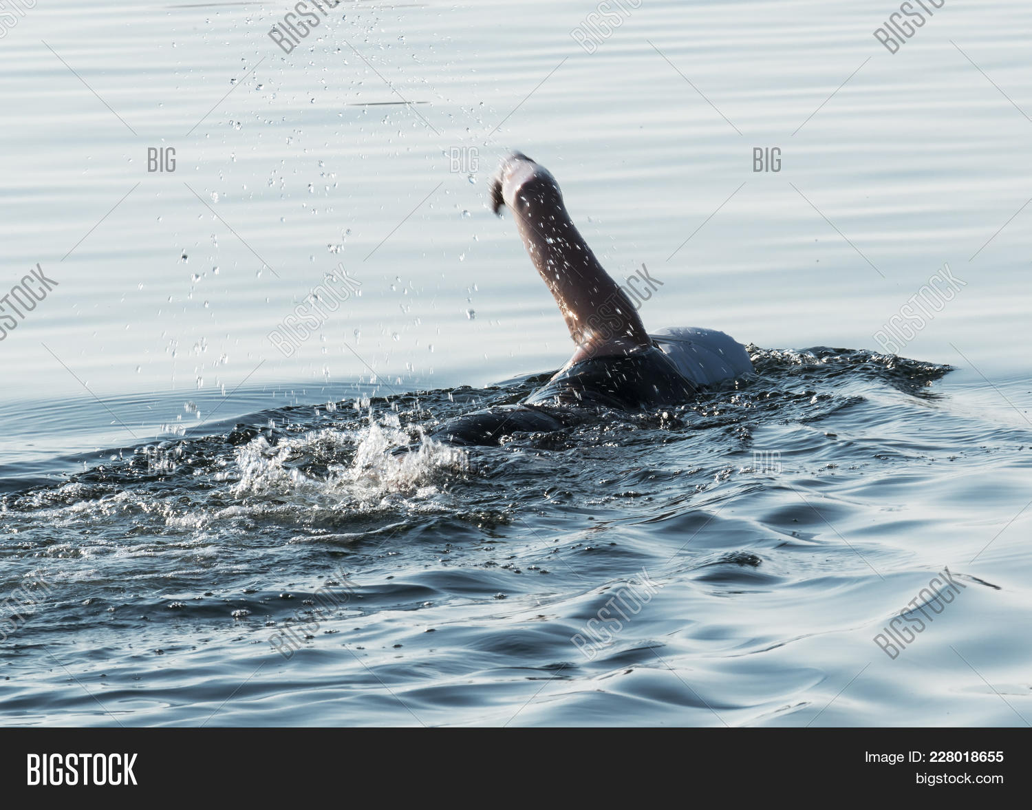 Female Swimmers Arm Image & Photo (Free Trial) | Bigstock