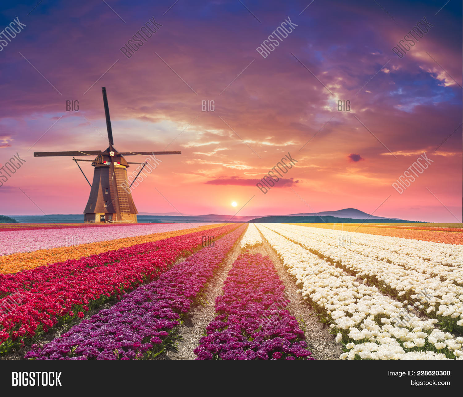 afbeelding en foto (gratis proefversie) | Bigstock