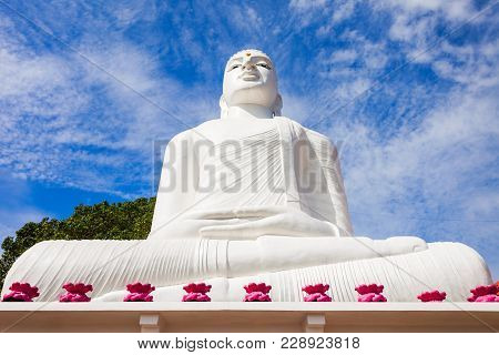 Bahirawa Kanda Image & Photo (Free Trial) | Bigstock