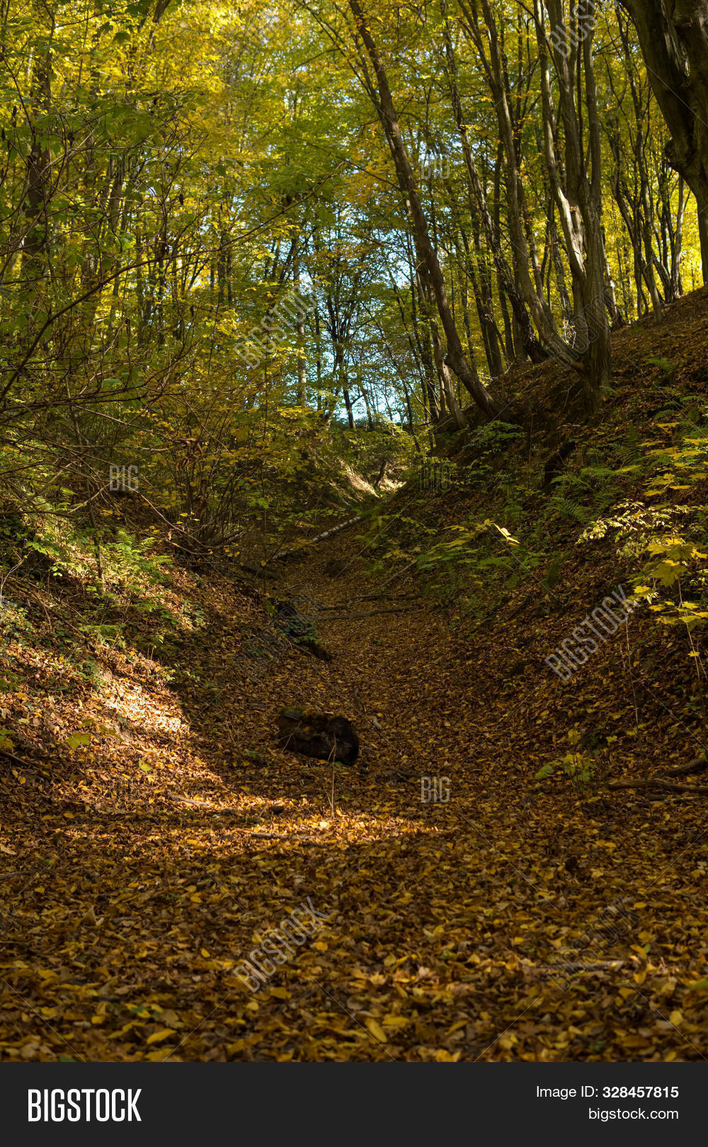 Bottom Gully Landform Image & Photo (Free Trial) | Bigstock