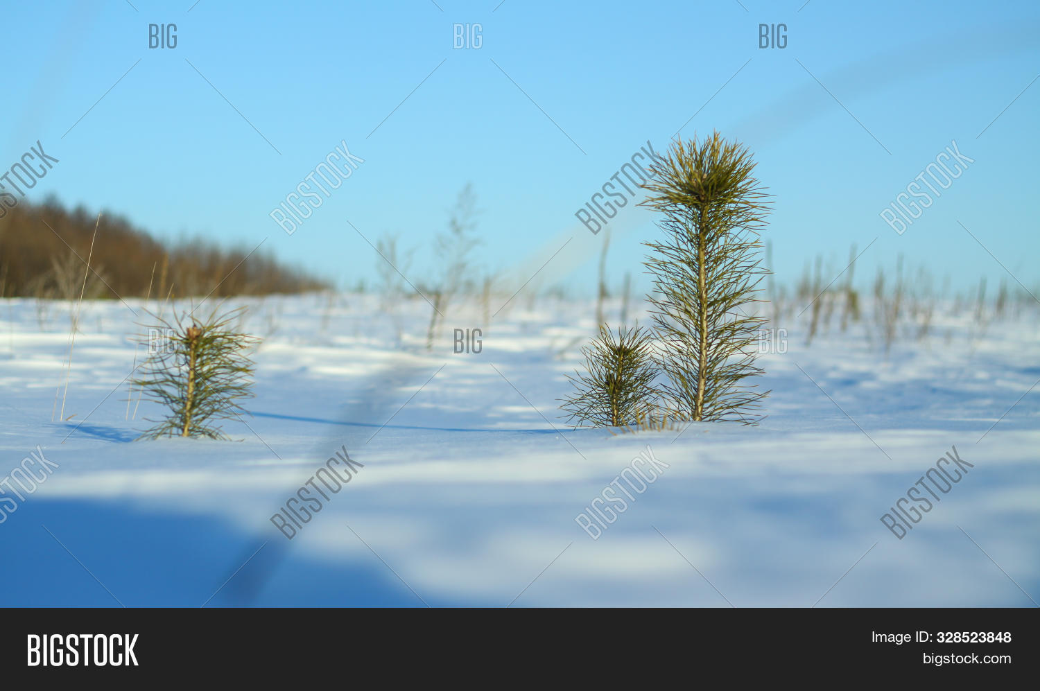 Snow-white Snow Earth Image & Photo (Free Trial) | Bigstock