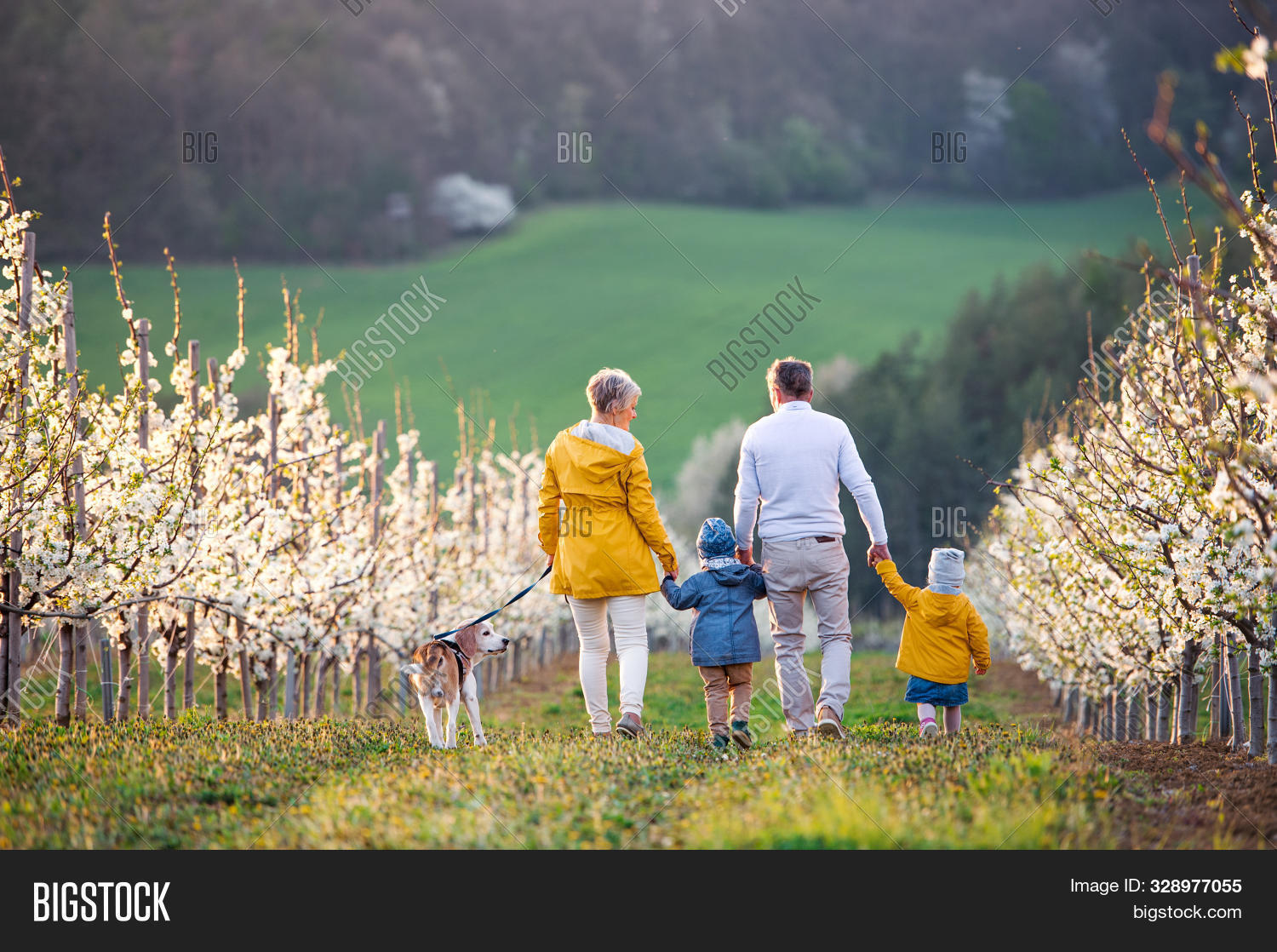 Rear View Senior Image & Photo (Free Trial) | Bigstock