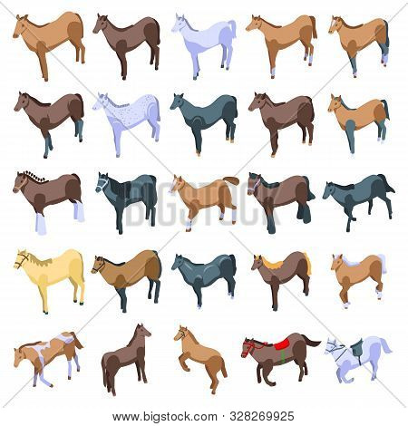 Horse Icons Set. Vector & Photo (Free Trial) | Bigstock