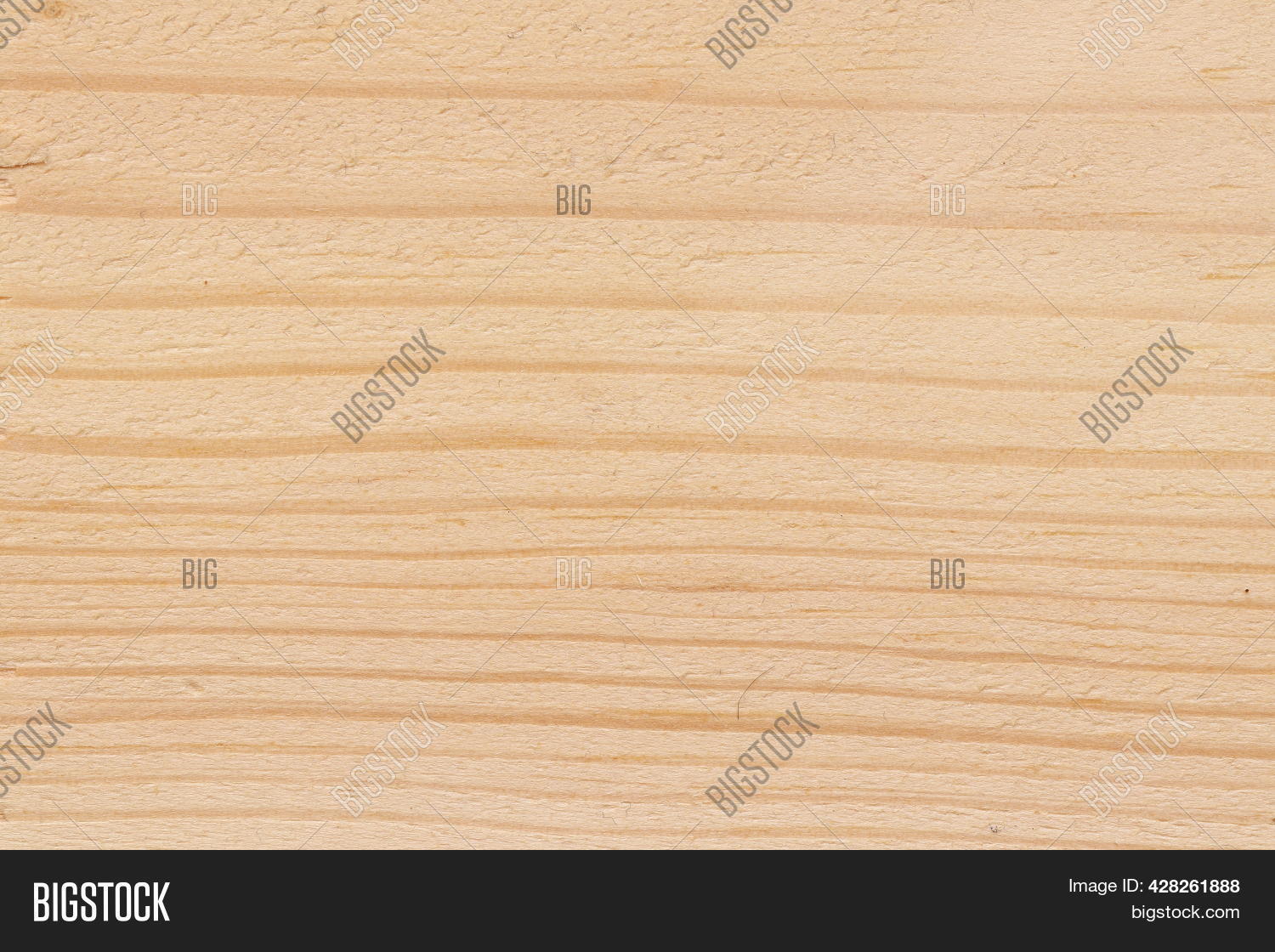 Pine Tree Cut Texture Image & Photo (Free Trial) | Bigstock