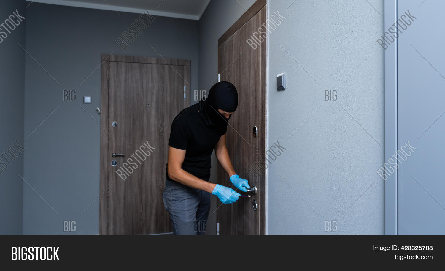 Anybody Home. Thief Image & Photo (Free Trial) | Bigstock