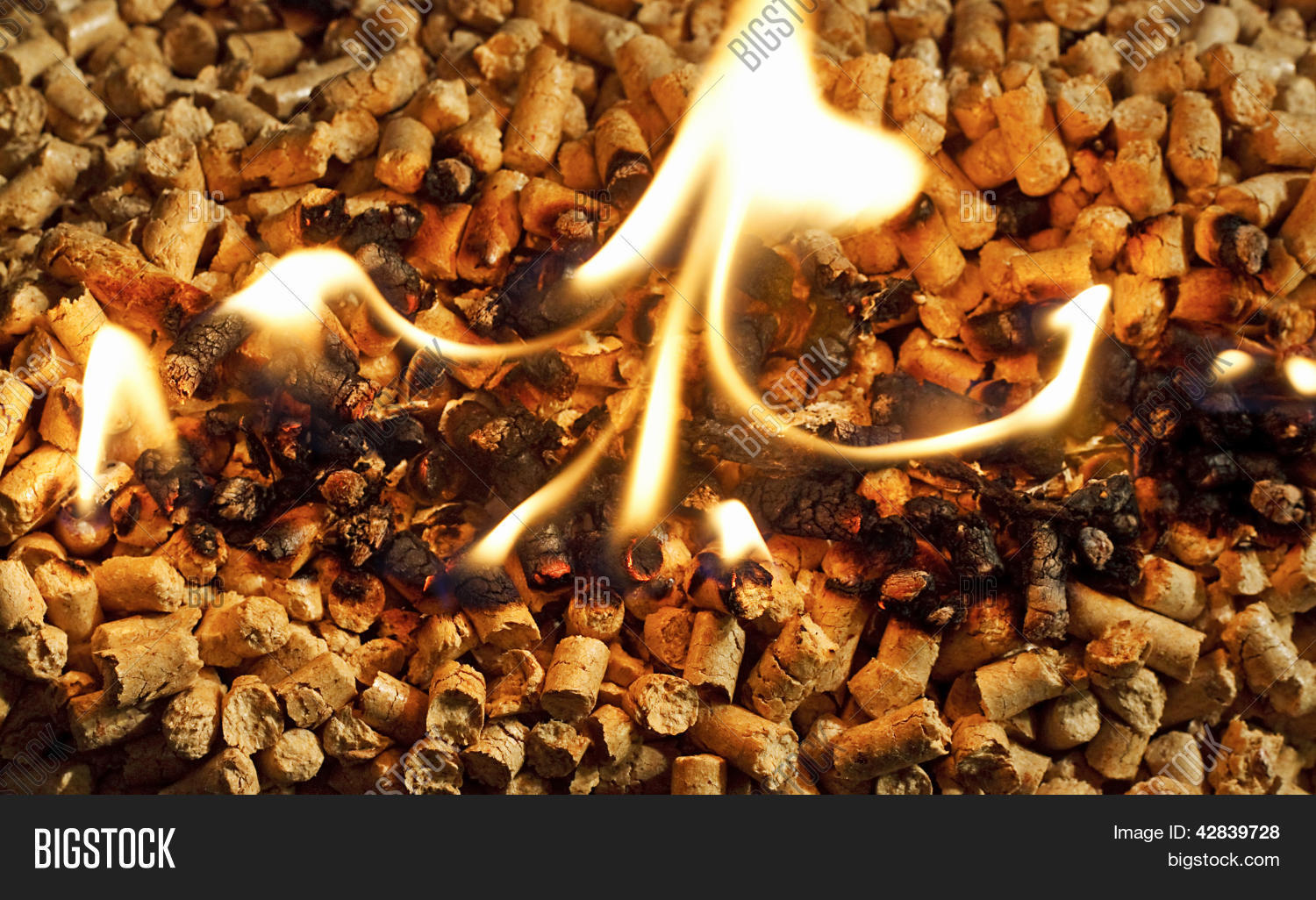 Imagen y foto Quema Madera (prueba gratis) | Bigstock