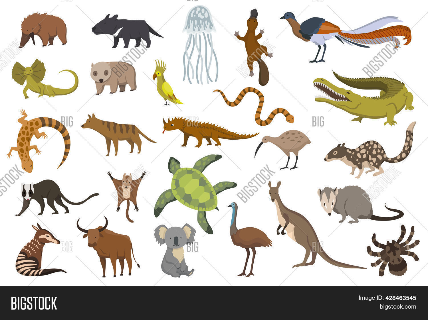 Animals Australia. Image & Photo (Free Trial) | Bigstock