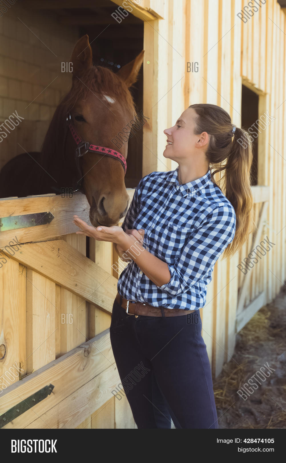 Female Horse Owner Image & Photo (Free Trial) | Bigstock