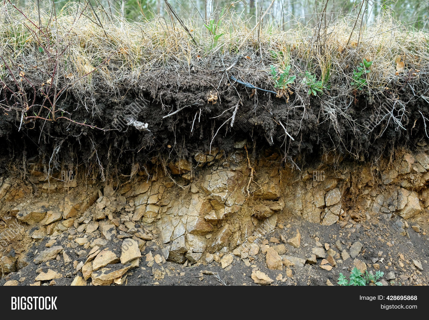 Small Cliff. Soils Image & Photo (Free Trial) | Bigstock