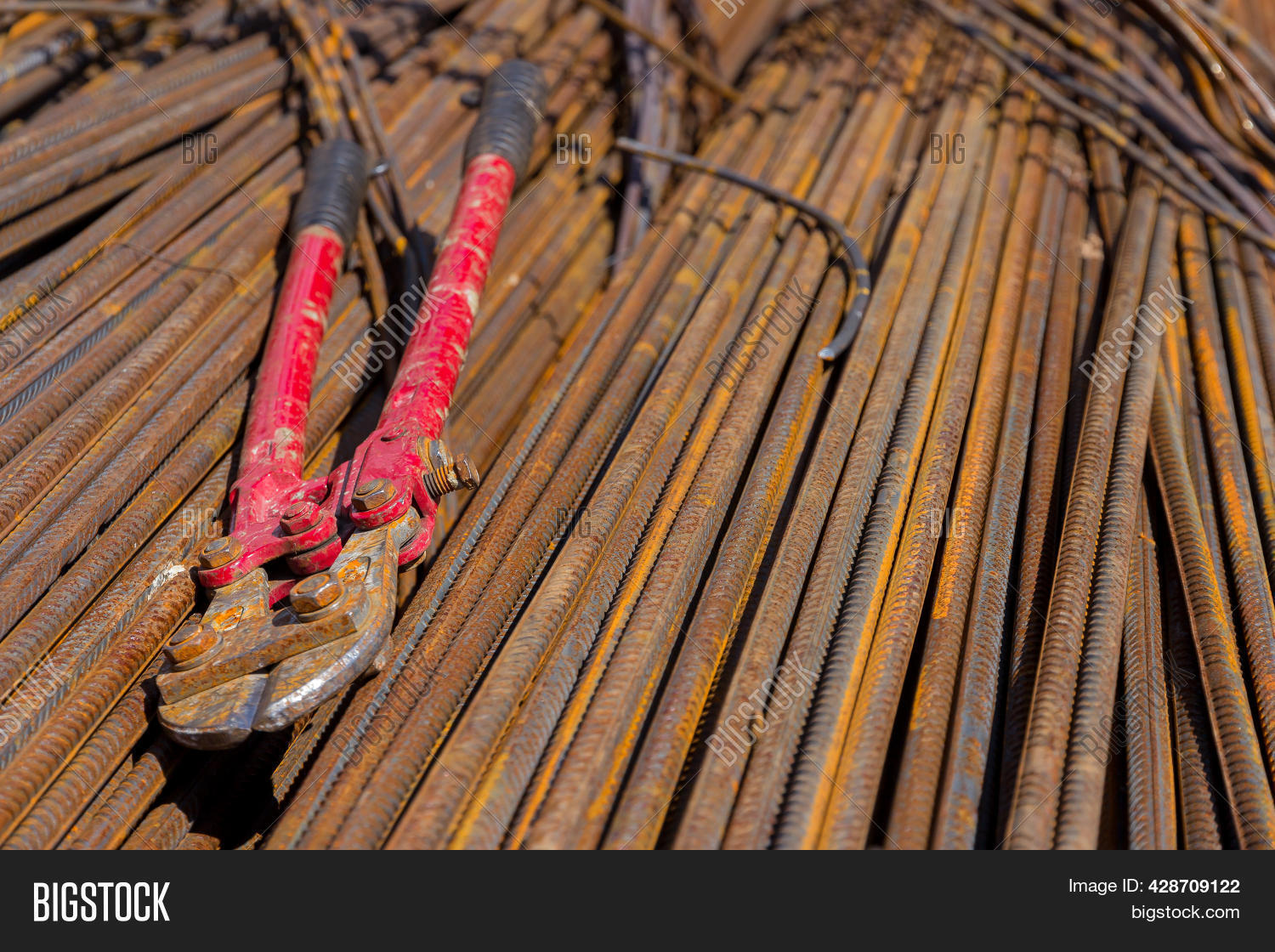 Large Pliers Clipper Image & Photo (Free Trial) | Bigstock