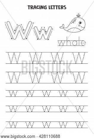 Trace Letters English Vector & Photo (Free Trial) | Bigstock