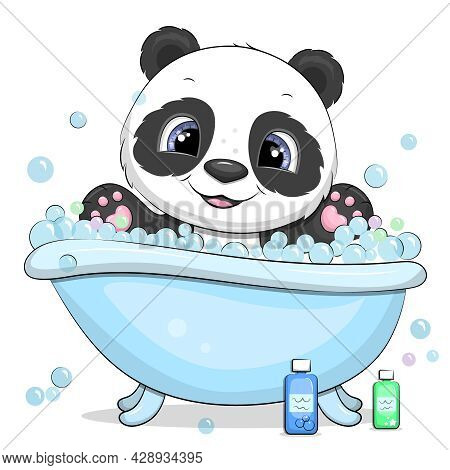 Cute Cartoon Panda Vector & Photo (Free Trial) | Bigstock