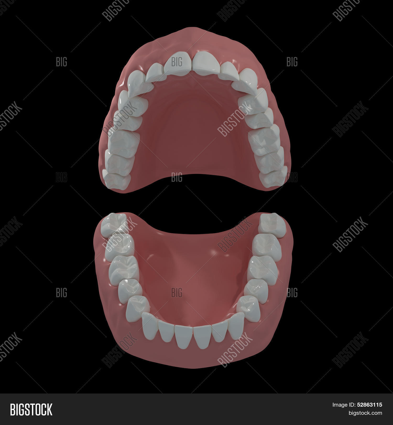 3D Render Teeth On Image & Photo (Free Trial) | Bigstock