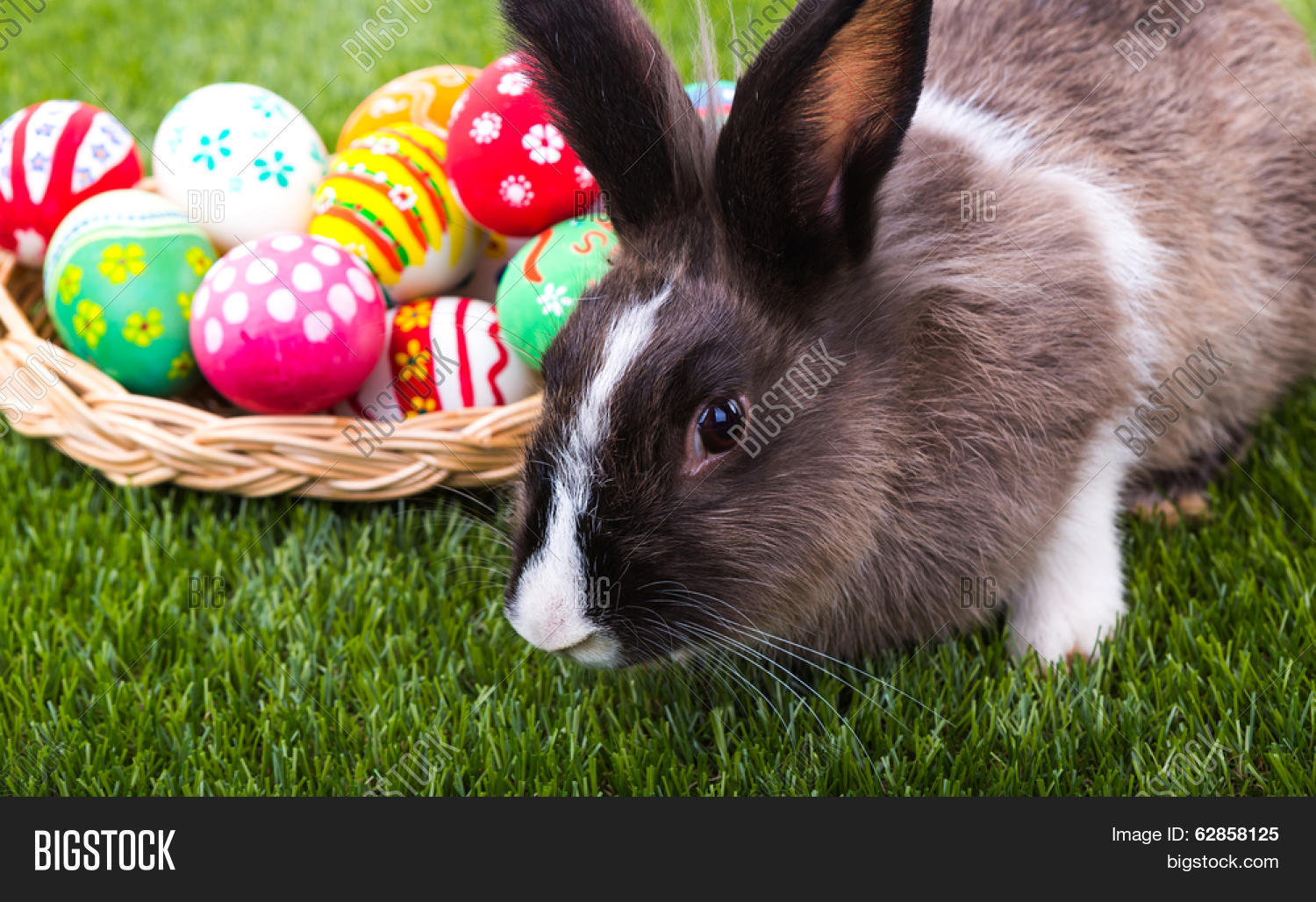 Rabbit Easter Eggs Image & Photo (Free Trial) | Bigstock