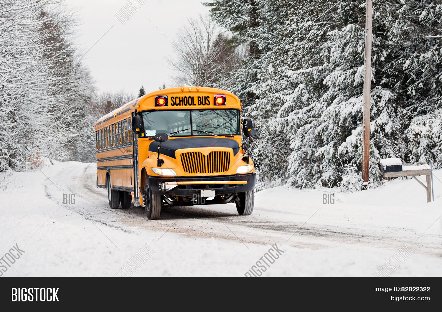 School Bus Driving Image & Photo (Free Trial) | Bigstock