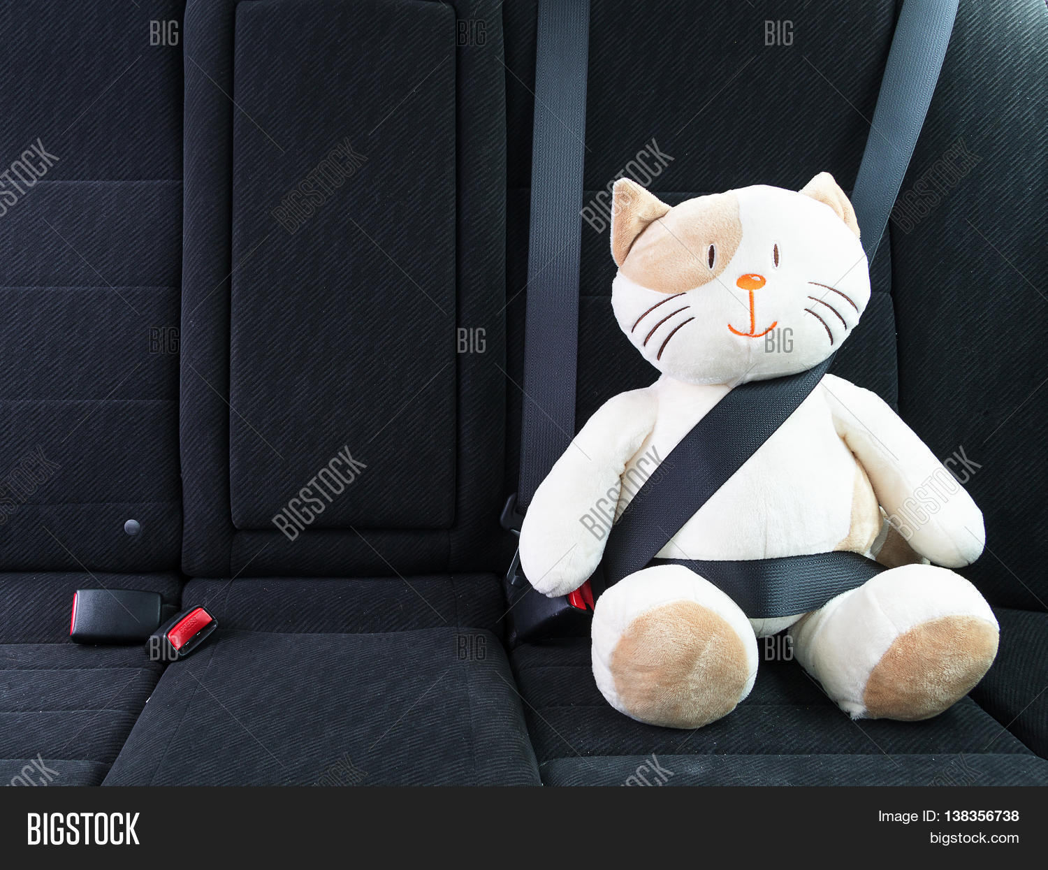 Plush Toy Cat Strapped Image & Photo (Free Trial) | Bigstock