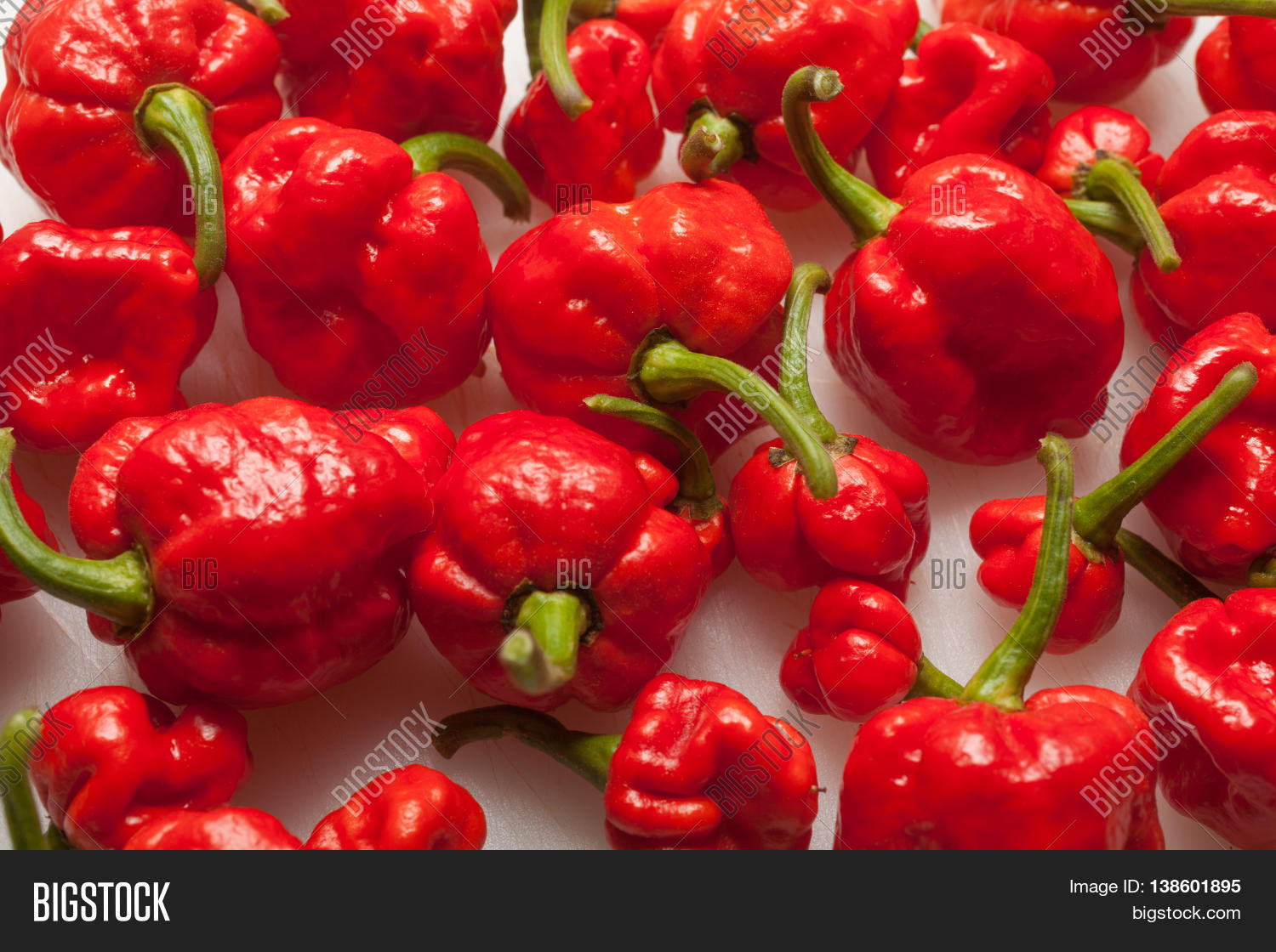 Trinidad Moruga Image & Photo (Free Trial) | Bigstock