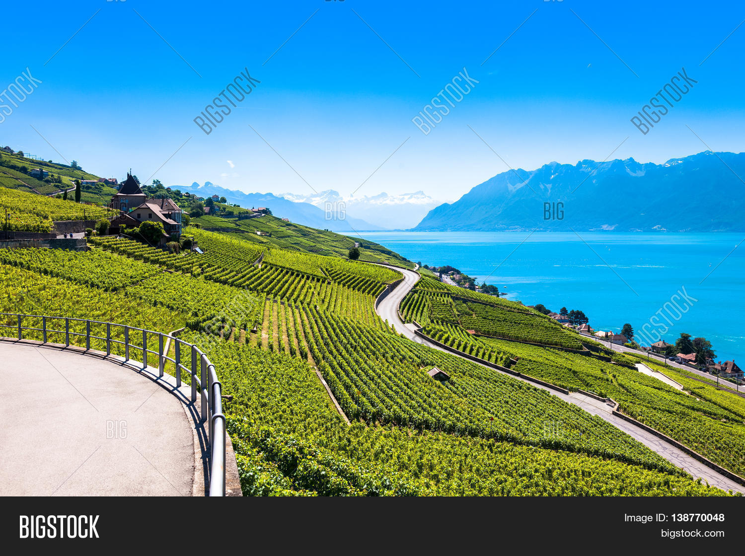 Vineyards Lavaux Image & Photo (Free Trial) | Bigstock