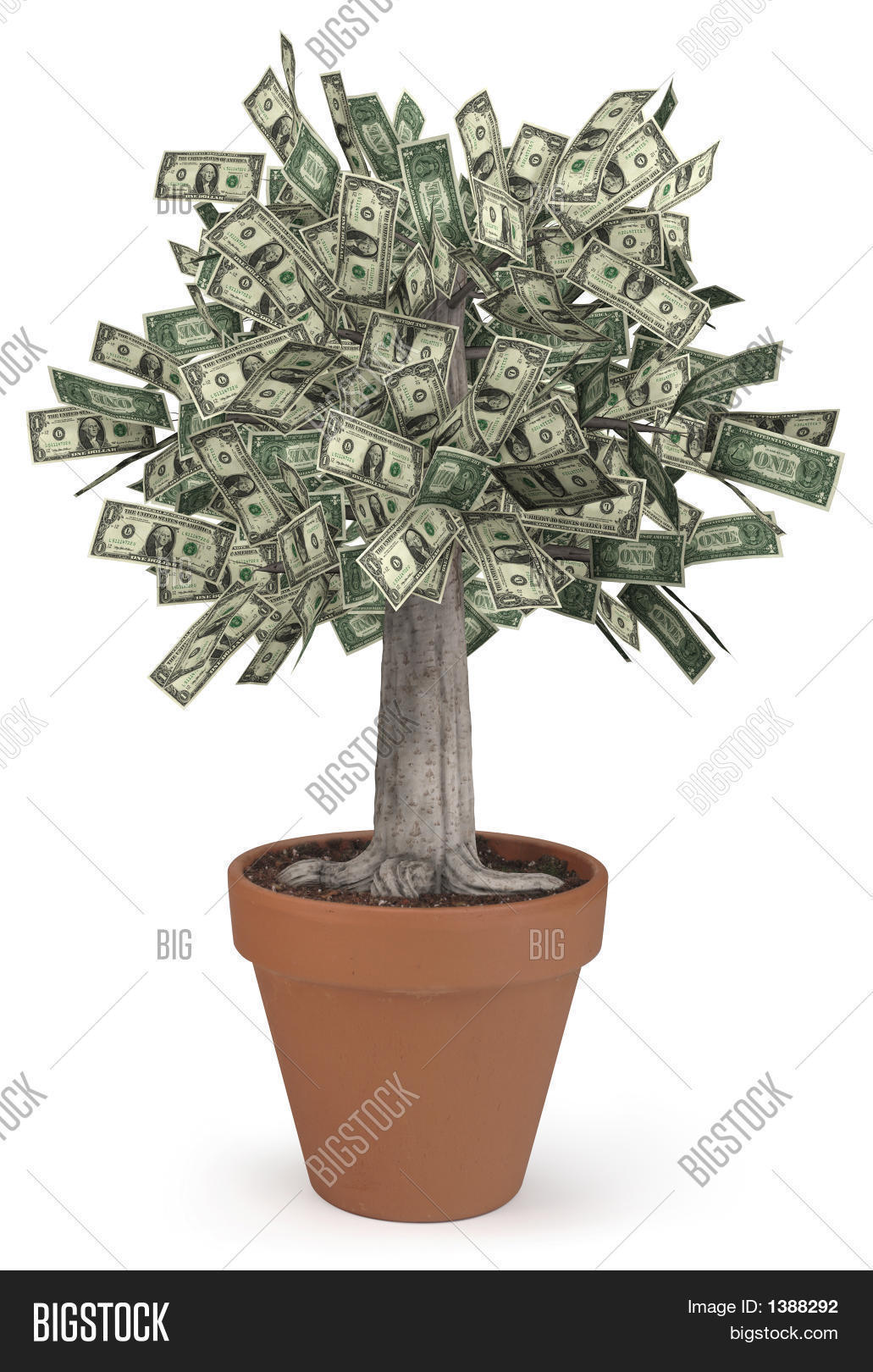 Money Tree Flower Pot Image & Photo (Free Trial) | Bigstock