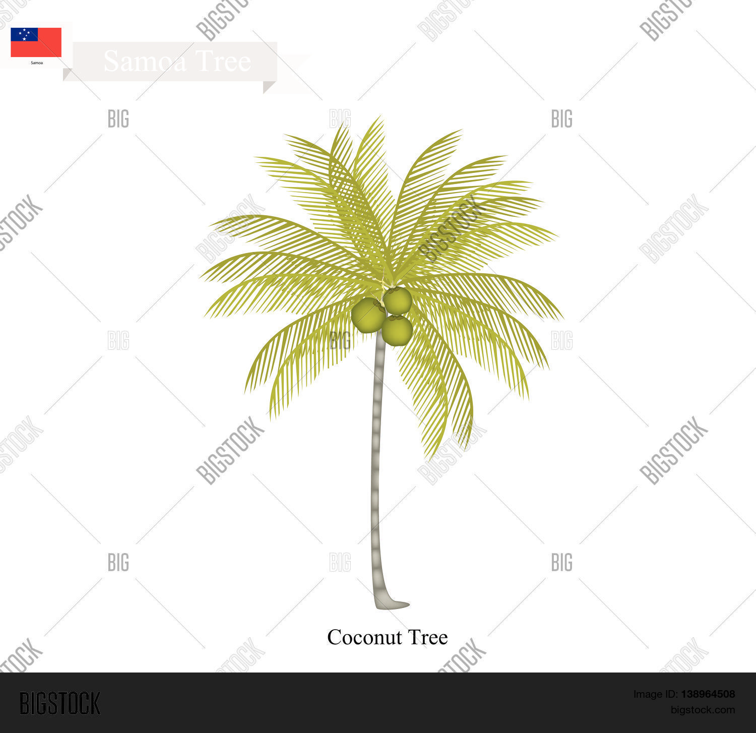 Samoa Tree Vector & Photo (Free Trial) | Bigstock