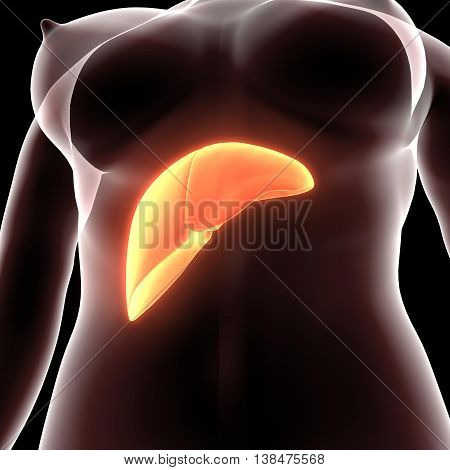 3D Render 3d Image & Photo (Free Trial) | Bigstock