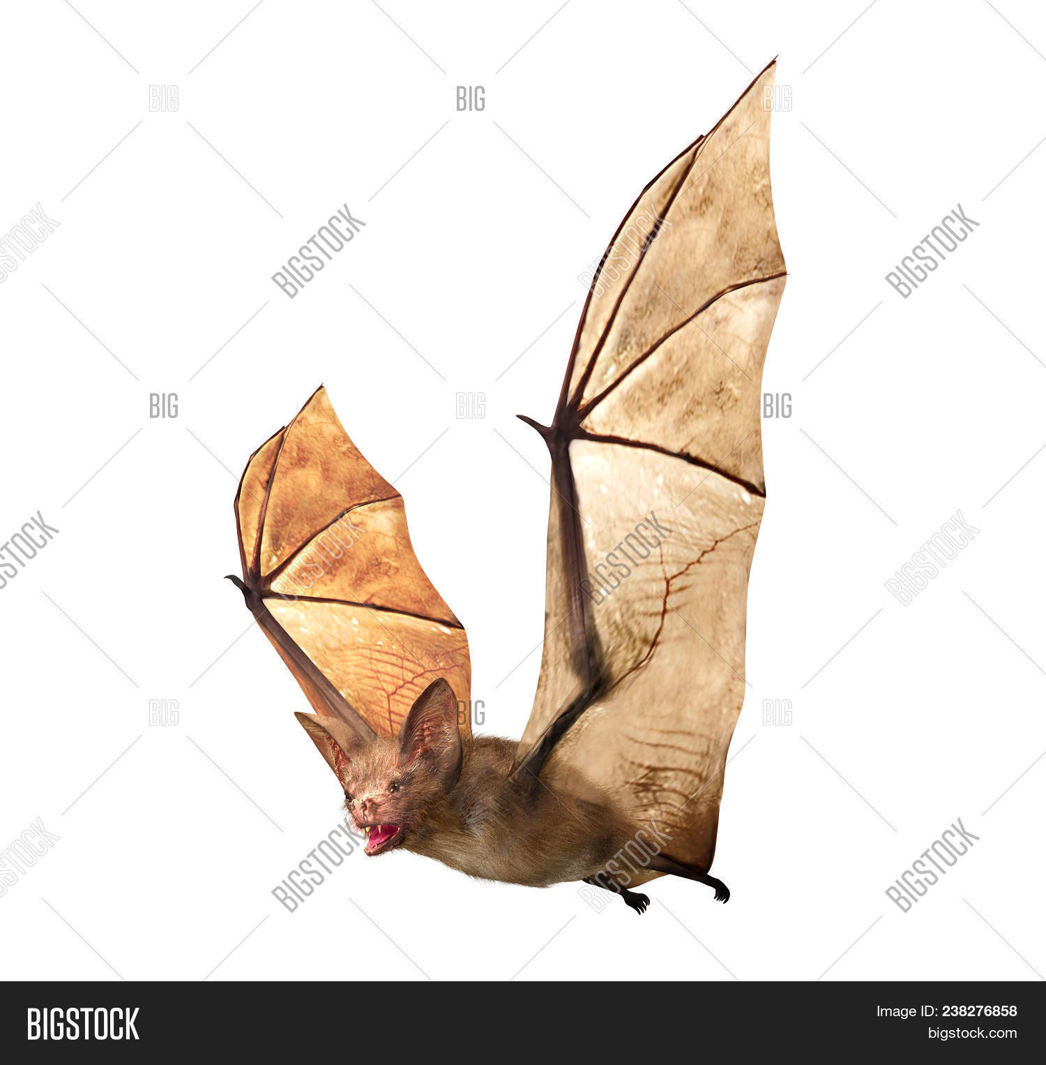 Flying Vampire Bat Image & Photo (Free Trial) | Bigstock