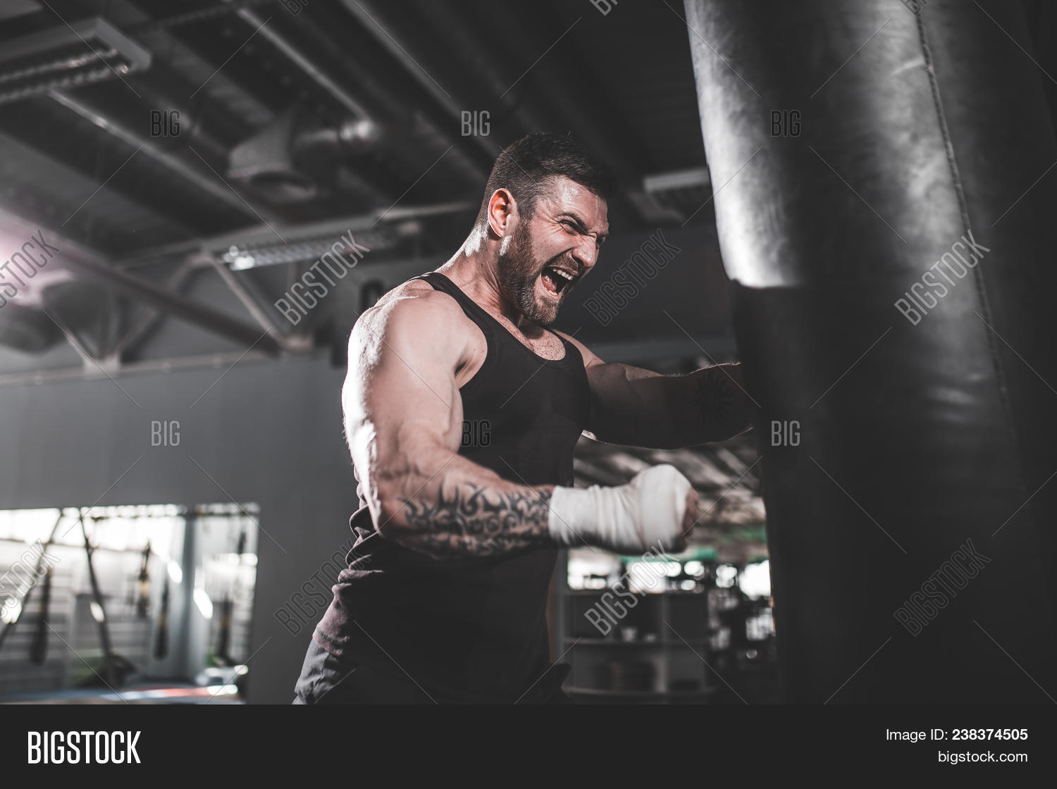 Bearded Male Boxer Image & Photo (Free Trial) | Bigstock