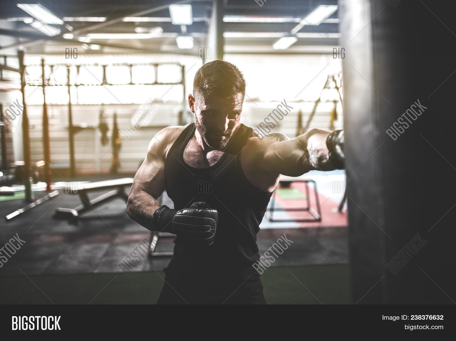 Bearded Male Boxer Image & Photo (Free Trial) | Bigstock