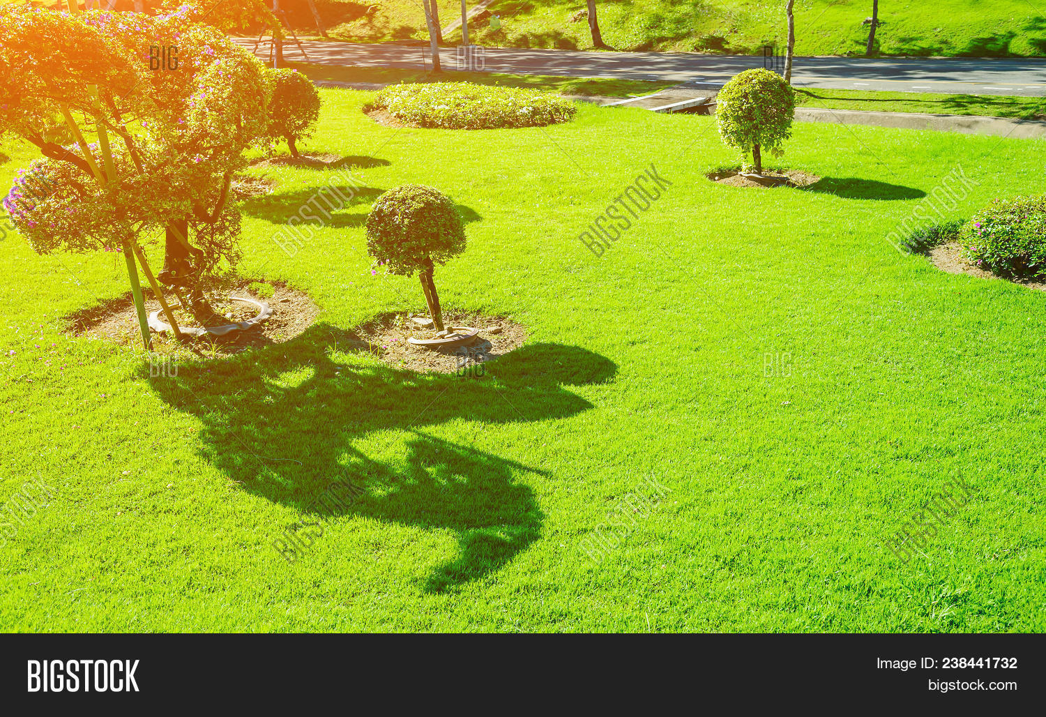 Sunlight Shines On Image & Photo (Free Trial) | Bigstock