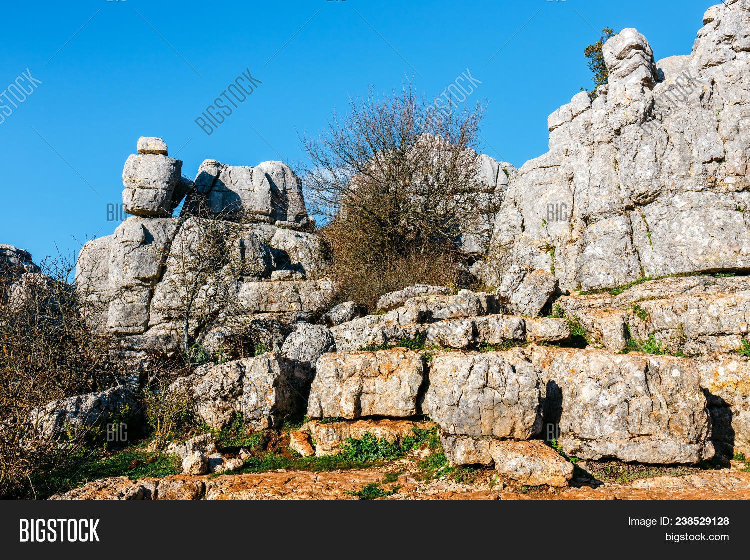 Picturesque Examples Image & Photo (Free Trial) | Bigstock