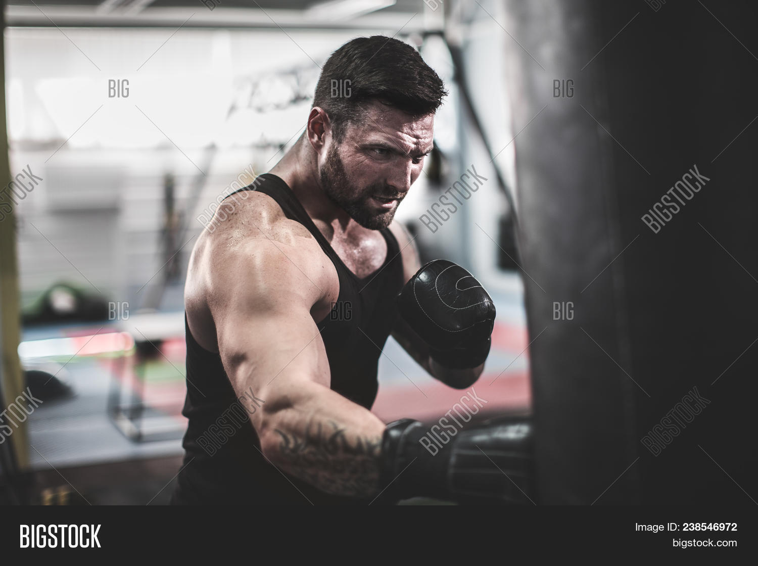 Bearded Male Boxer Image & Photo (Free Trial) | Bigstock