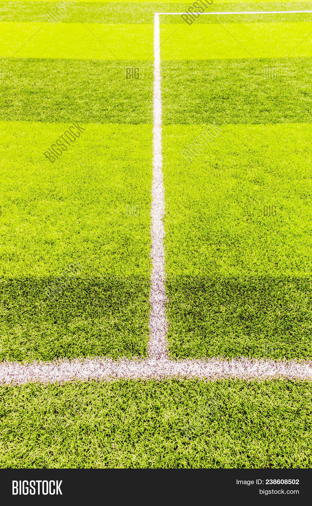 Penalty Area, White Image & Photo (Free Trial) | Bigstock