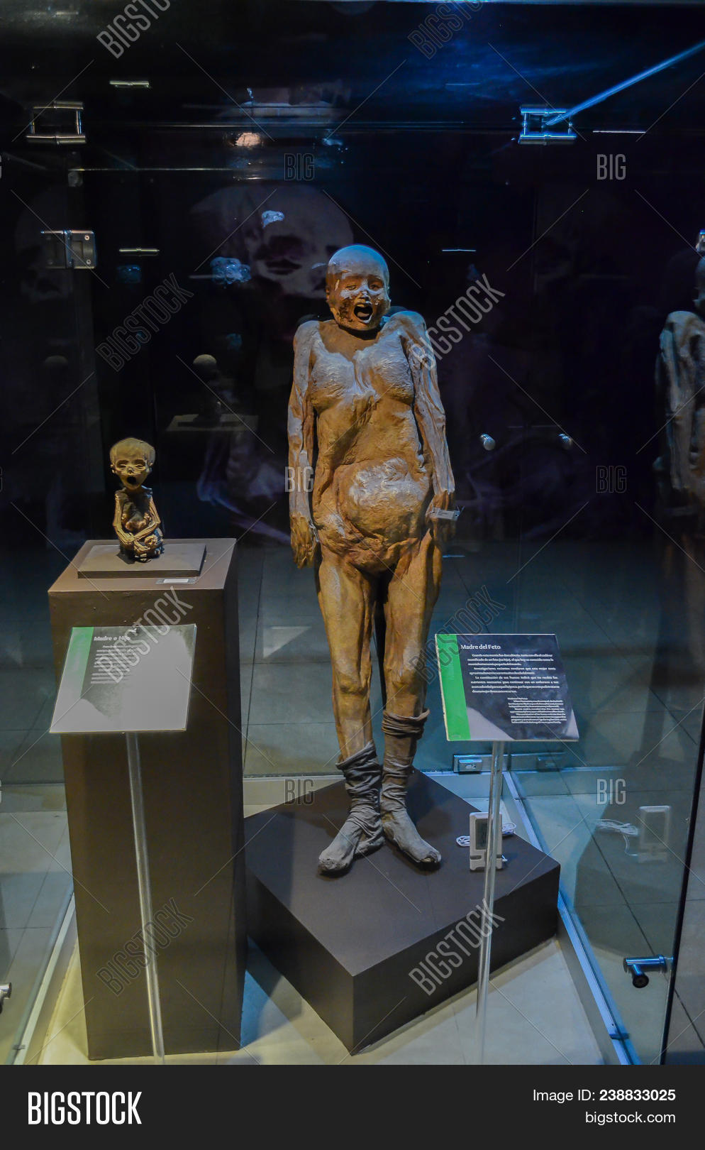 Guanajuato, Mexico - Image & Photo (Free Trial) | Bigstock